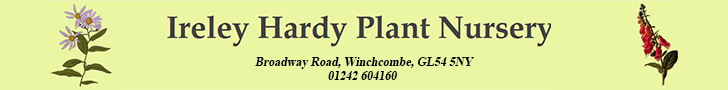 Winchcombe Country Show – Winchcombe Country Show